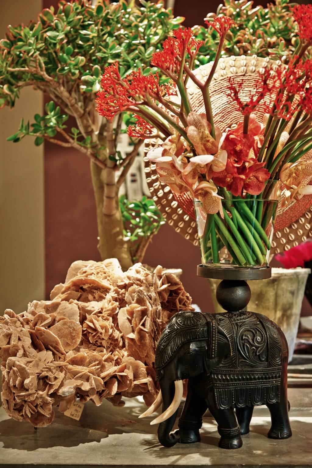 Africa - The Wunderkammer