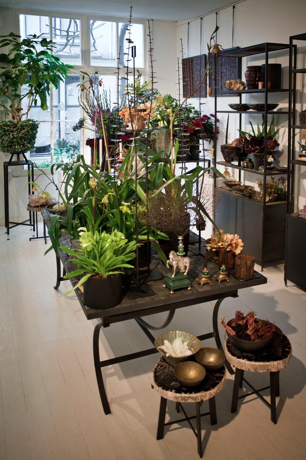 Death the End - The Wunderkammer