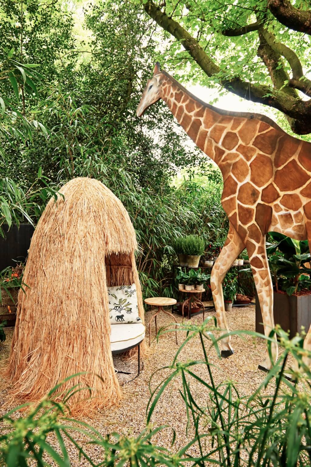 Africa - The Wunderkammer