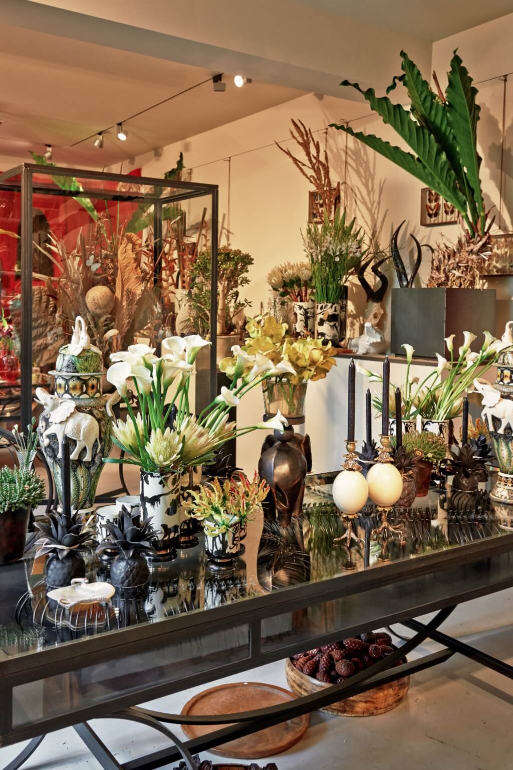 Africa - The Wunderkammer