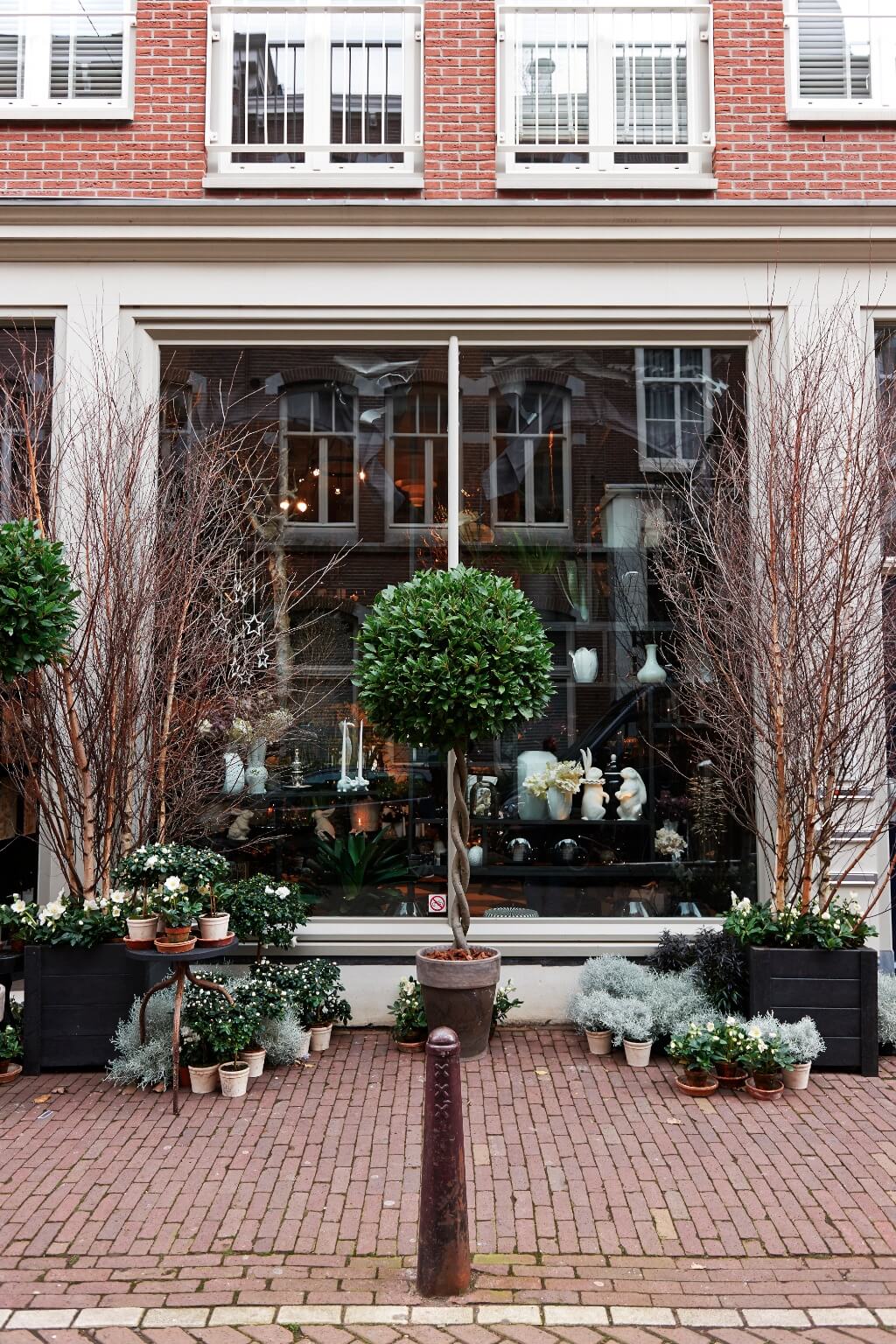 Treasury - The Wunderkammer