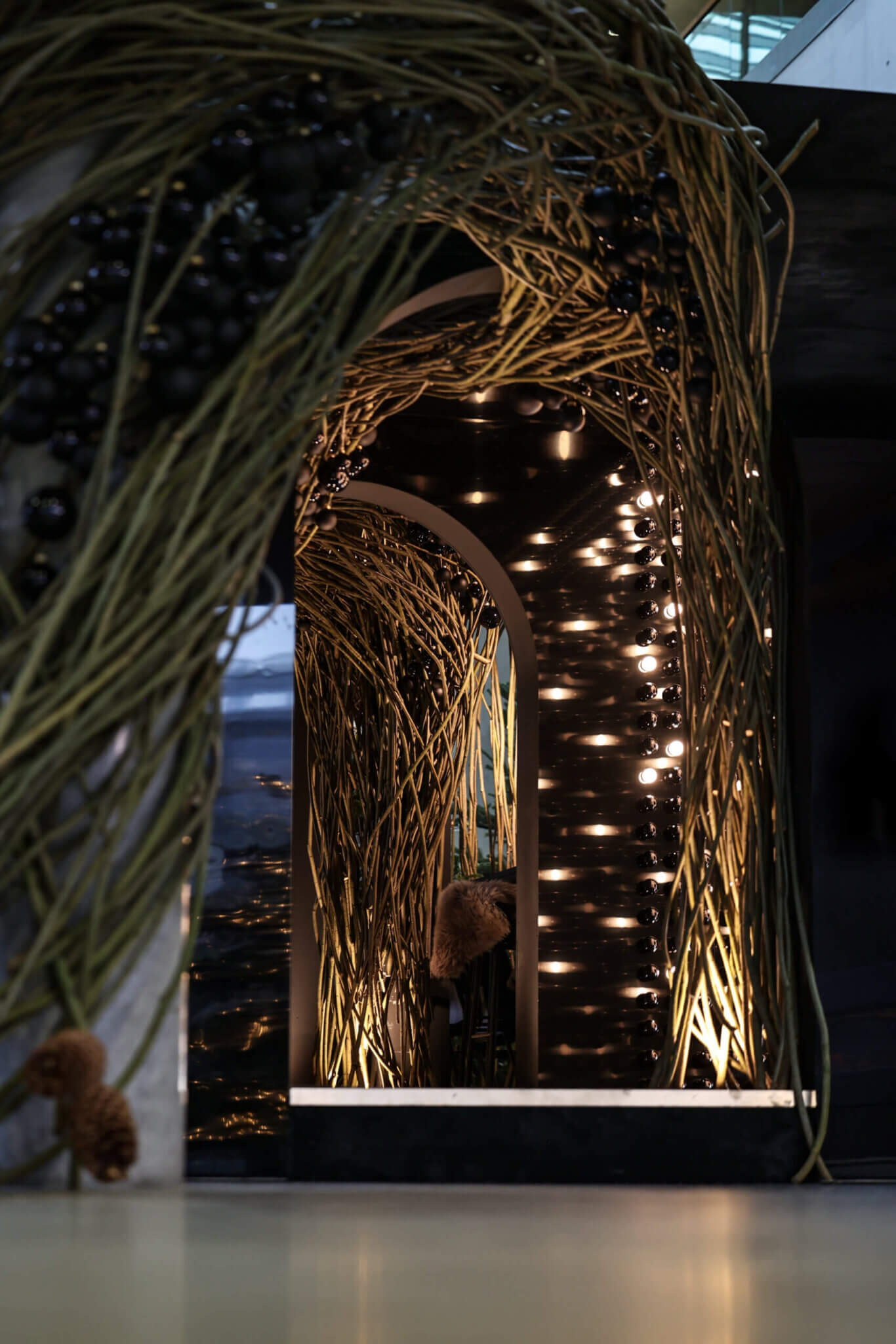 Projects - The Wunderkammer