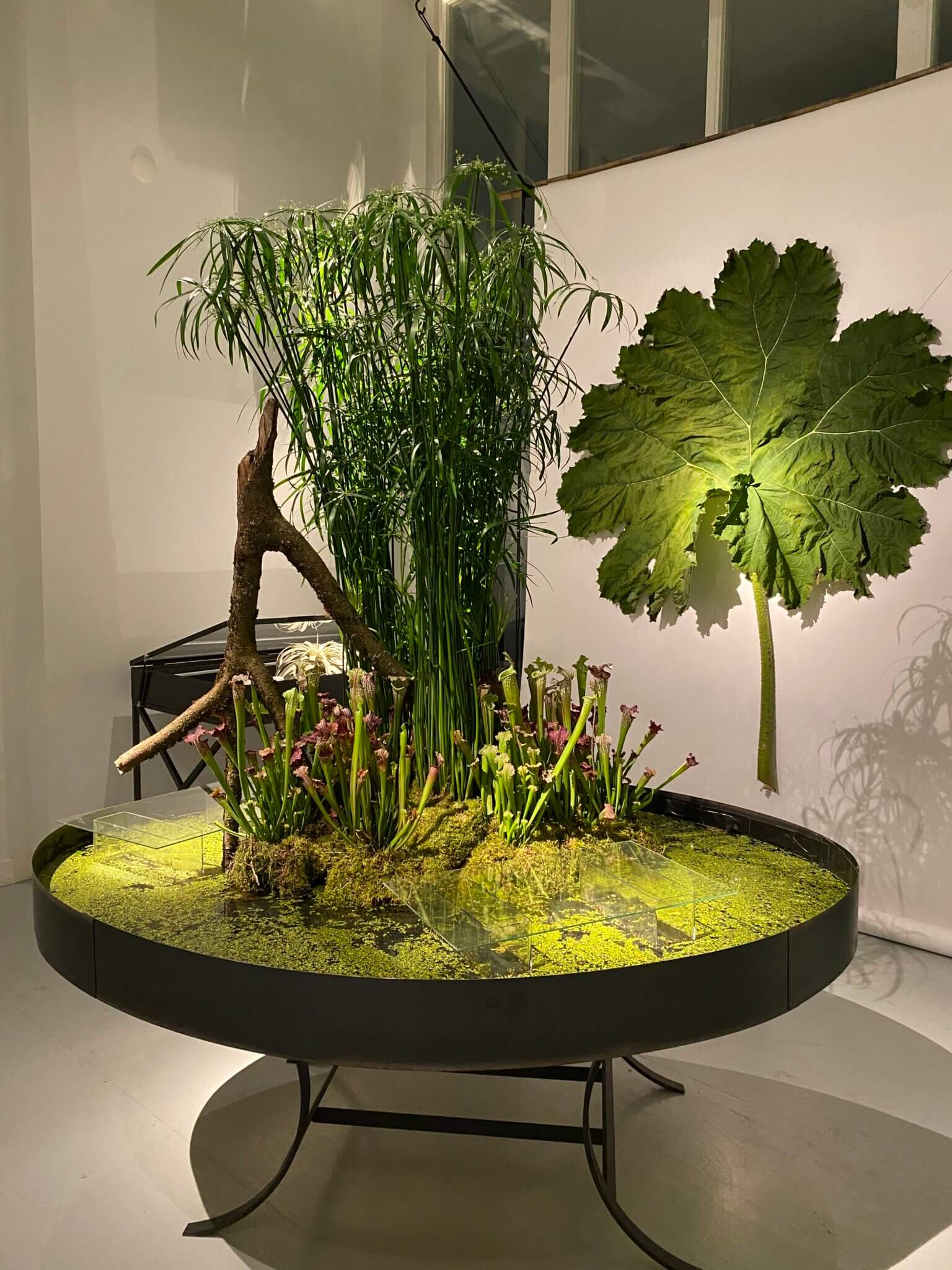 Projects - The Wunderkammer
