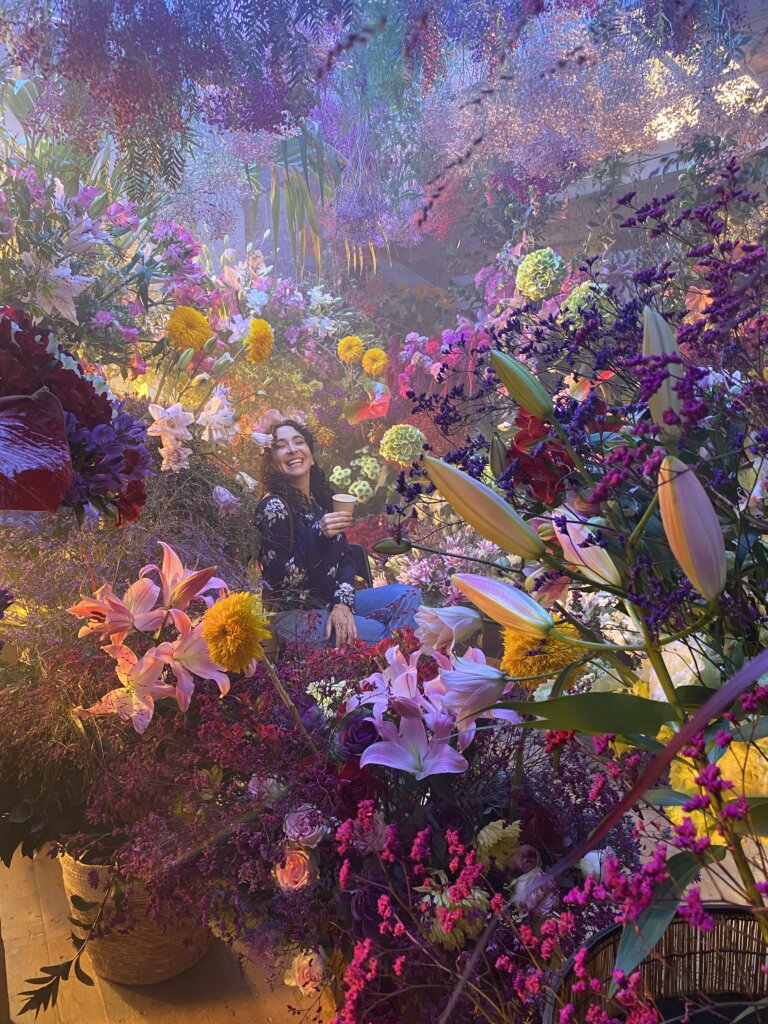 Projects - The Wunderkammer